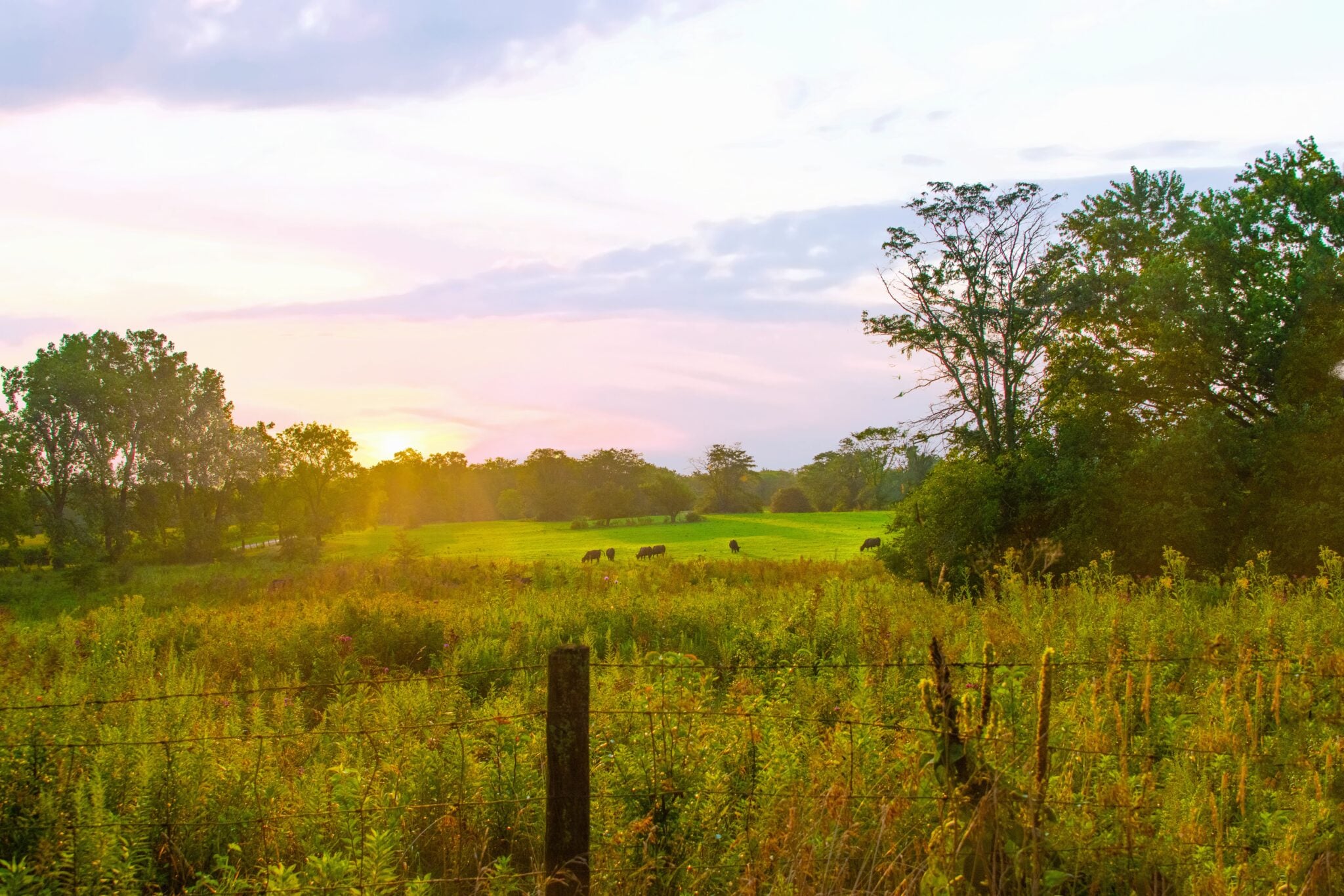 Top Things to Do in Camby, Indiana
